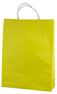 Gift Bags | Yellow Paper Carry Bags (10) | Packaging Products