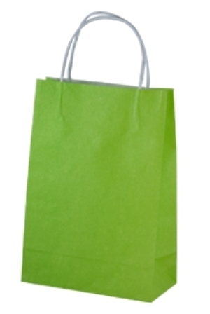 Gift Bags | Small Green Paper Bags (10) | Packaging Products