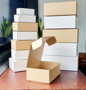 Introducing Print-a-Box › Packaging Products